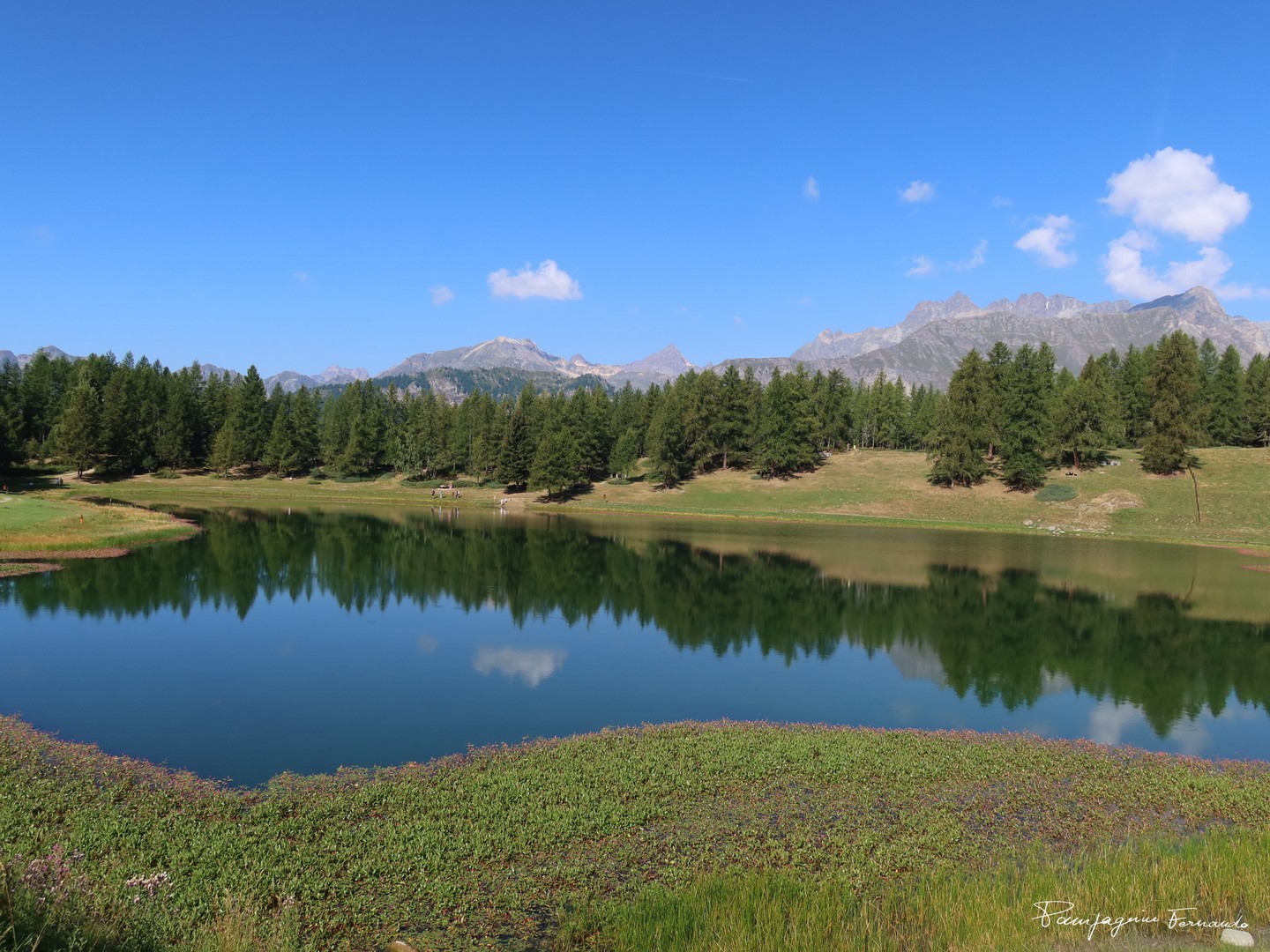 LAGO DI LOD - Pampagnin Fernando